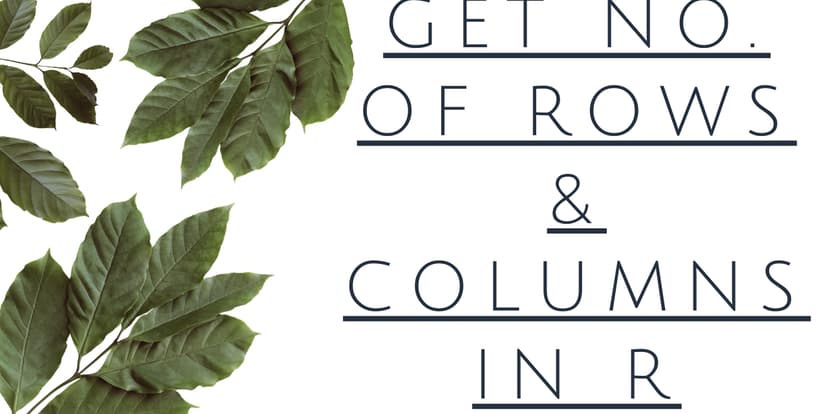 Get the number of rows and columns in R | DigitalOcean
